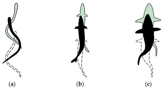 Optimum Curvature Characteristics of Body/Caudal Fin Locomotion