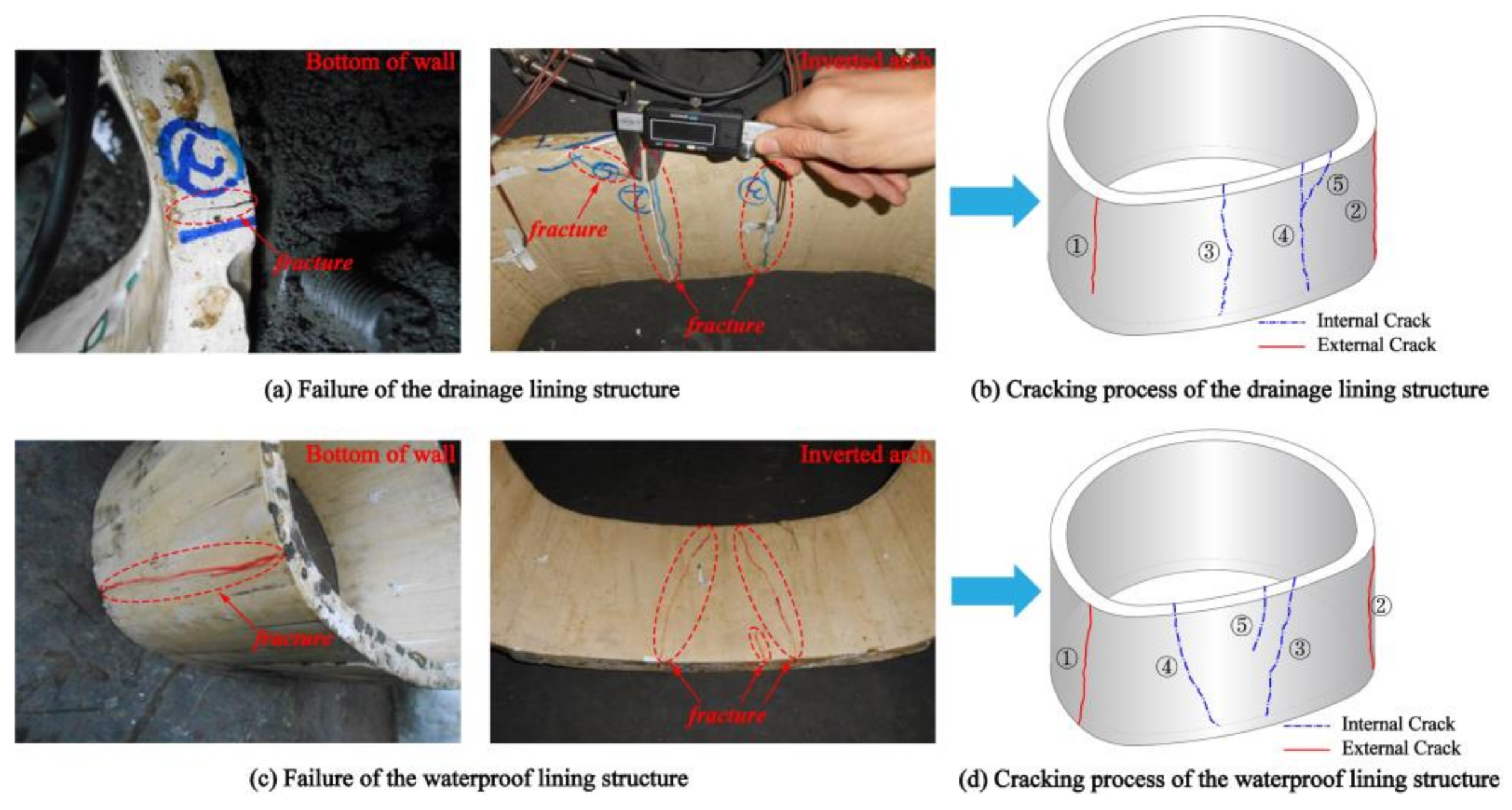 Experimental Investigation of Load-Bearing Mechanism of Underwater ...