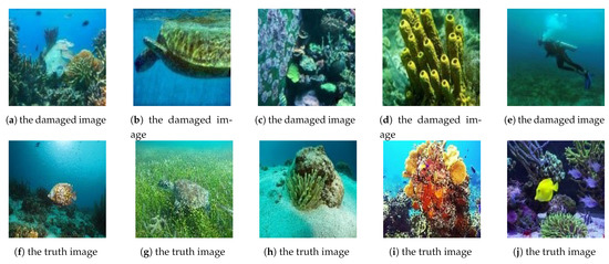 An Underwater Image Enhancement Algorithm Based on Generative Adversarial Network and Natural ...