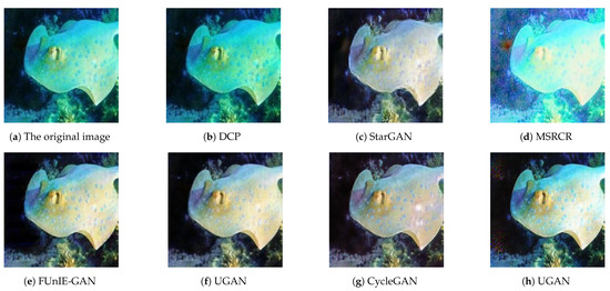 An Underwater Image Enhancement Algorithm Based on Generative Adversarial Network and Natural ...