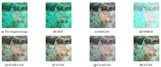 An Underwater Image Enhancement Algorithm Based on Generative Adversarial Network and Natural ...