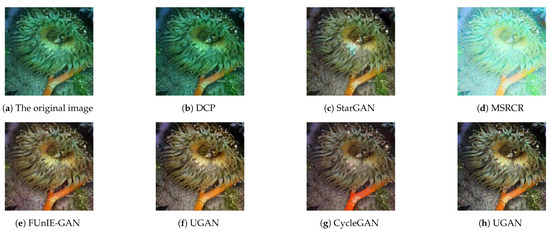An Underwater Image Enhancement Algorithm Based on Generative Adversarial Network and Natural ...