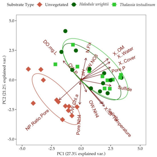 Nitrogen Fixation in Subtropical Seagrass Sediments: Seasonal Patterns ...