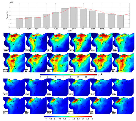 Temporal and Spatial Variability Scales of Salinity at a Large Microtidal Estuary