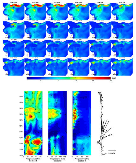 Temporal and Spatial Variability Scales of Salinity at a Large Microtidal Estuary
