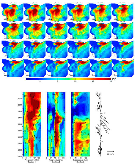 Temporal and Spatial Variability Scales of Salinity at a Large Microtidal Estuary