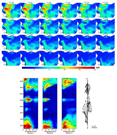 Temporal and Spatial Variability Scales of Salinity at a Large Microtidal Estuary