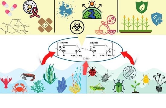 JMSE | Free Full-Text | Applications of Chitin in Medical ...