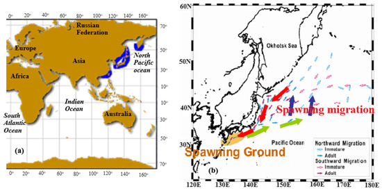 Knowledge on the Biological and Fisheries Aspects of the Japanese ...