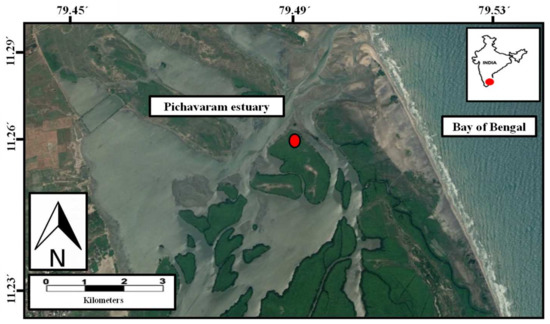 Carbon and Nitrogen Contents Driven by Organic Matter Source within ...