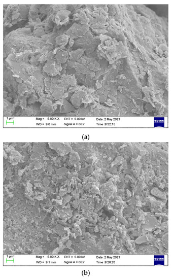 Scour Protection of Submarine Pipelines Using Ionic Soil Stabilizer ...