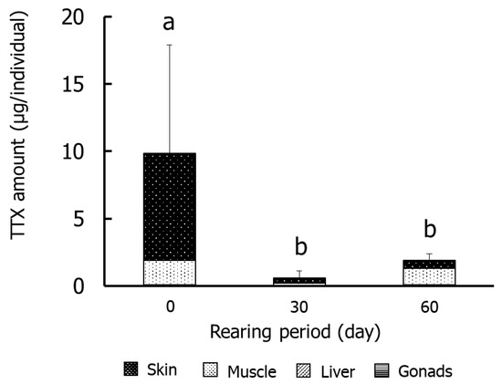 Tetrodotoxin Retention in the Toxic Goby Yongeichthys criniger