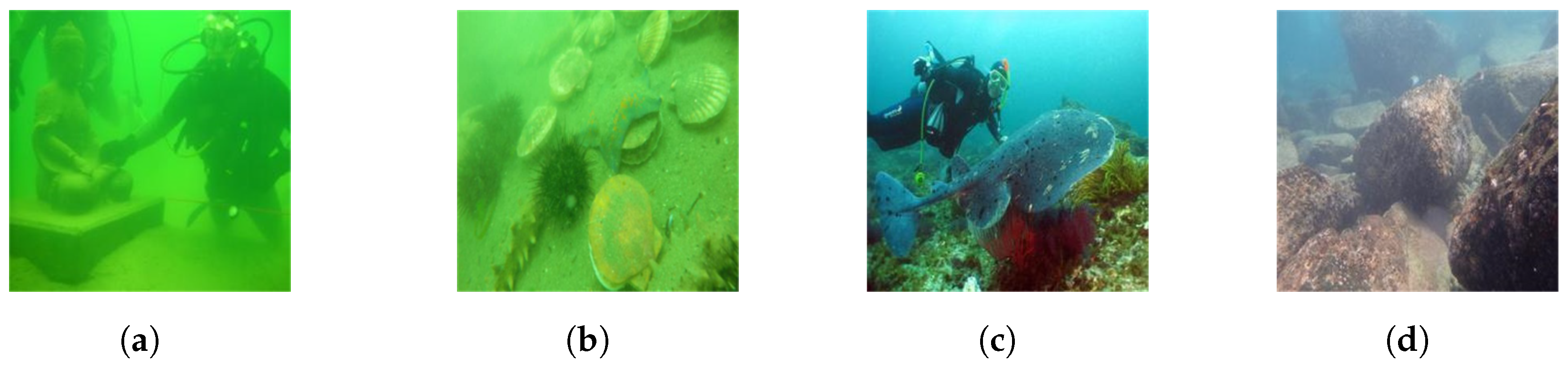 An Overview of Underwater Vision Enhancement: From Traditional Methods ...