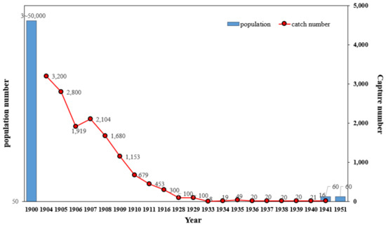 The First Population Simulation for the Zalophus japonicus (Otariidae ...