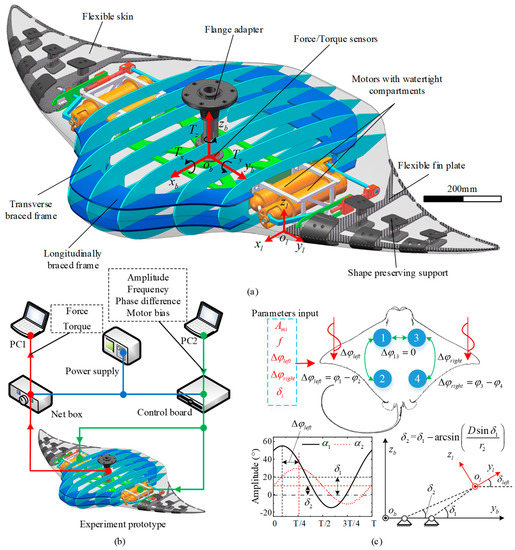 Asymmetrical Oscillating Morphology Hydrodynamic Performance of a Novel ...