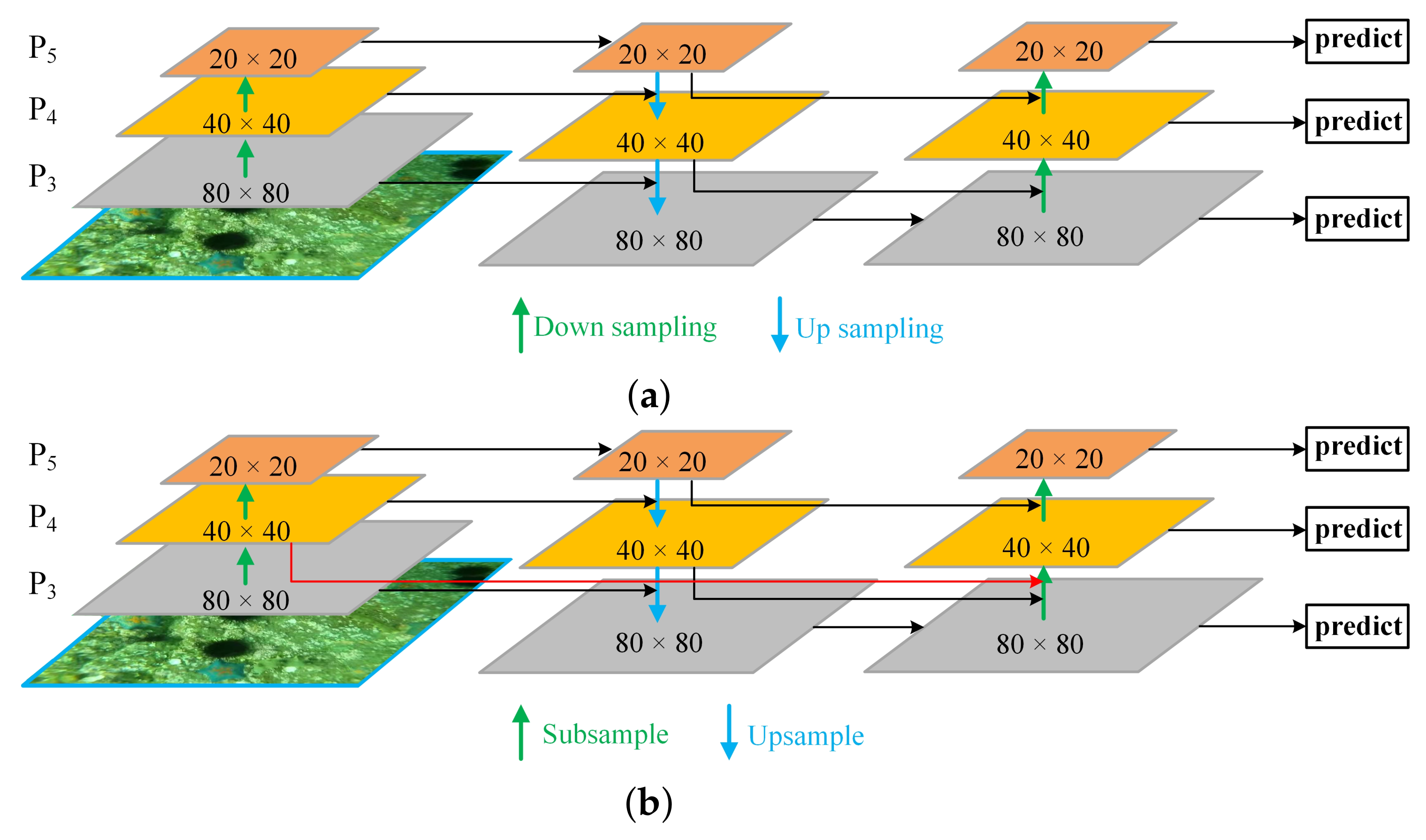 Underwater Target Detection Algorithm Based on Improved YOLOv5