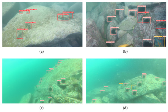 Underwater Target Detection Algorithm Based on Improved YOLOv5