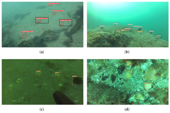 Underwater Target Detection Algorithm Based On Improved Yolov5