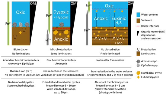A Multi-Proxy Approach to Reconstruct Hypoxia on the NW Black Sea Shelf ...