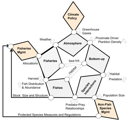 Pathways between Climate, Fish, Fisheries, and Management: A Conceptual ...
