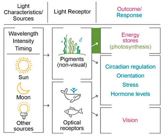 Minimizing Ecological Impacts of Marine Energy Lighting