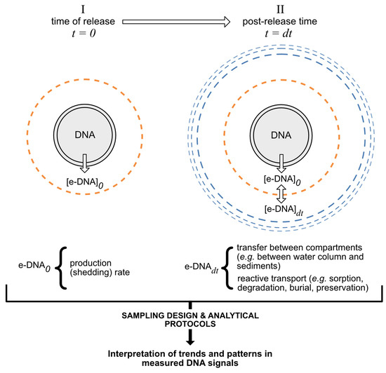 Evaluating eDNA for Use within Marine Environmental Impact Assessments