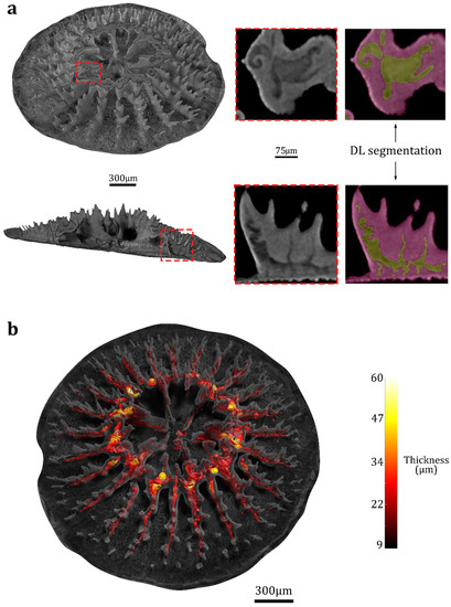 JMSE | Free Full-Text | Artificial Intelligence as a Tool to Study the ...