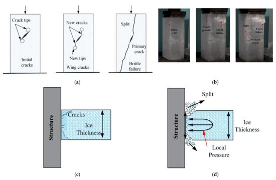 Distribution Analysis of Local Ice Pressures in the Indentation Test at ...