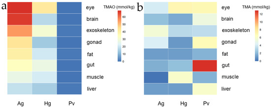 Trimethylamine N-Oxide (TMAO) and Trimethylamine (TMA) Determinations ...
