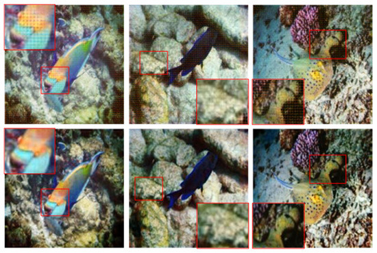 Journal of Marine Science and Engineering | An Open Access Journal from ...