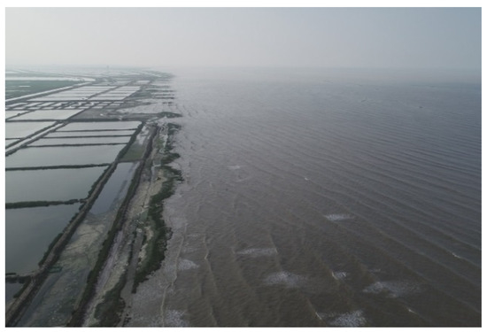 Emerging Downdrift Erosion by Twin Long-Range Jetties on an Open ...