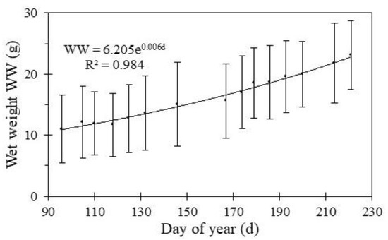 Actual and Model-Predicted Growth of Sponges—With a Bioenergetic ...