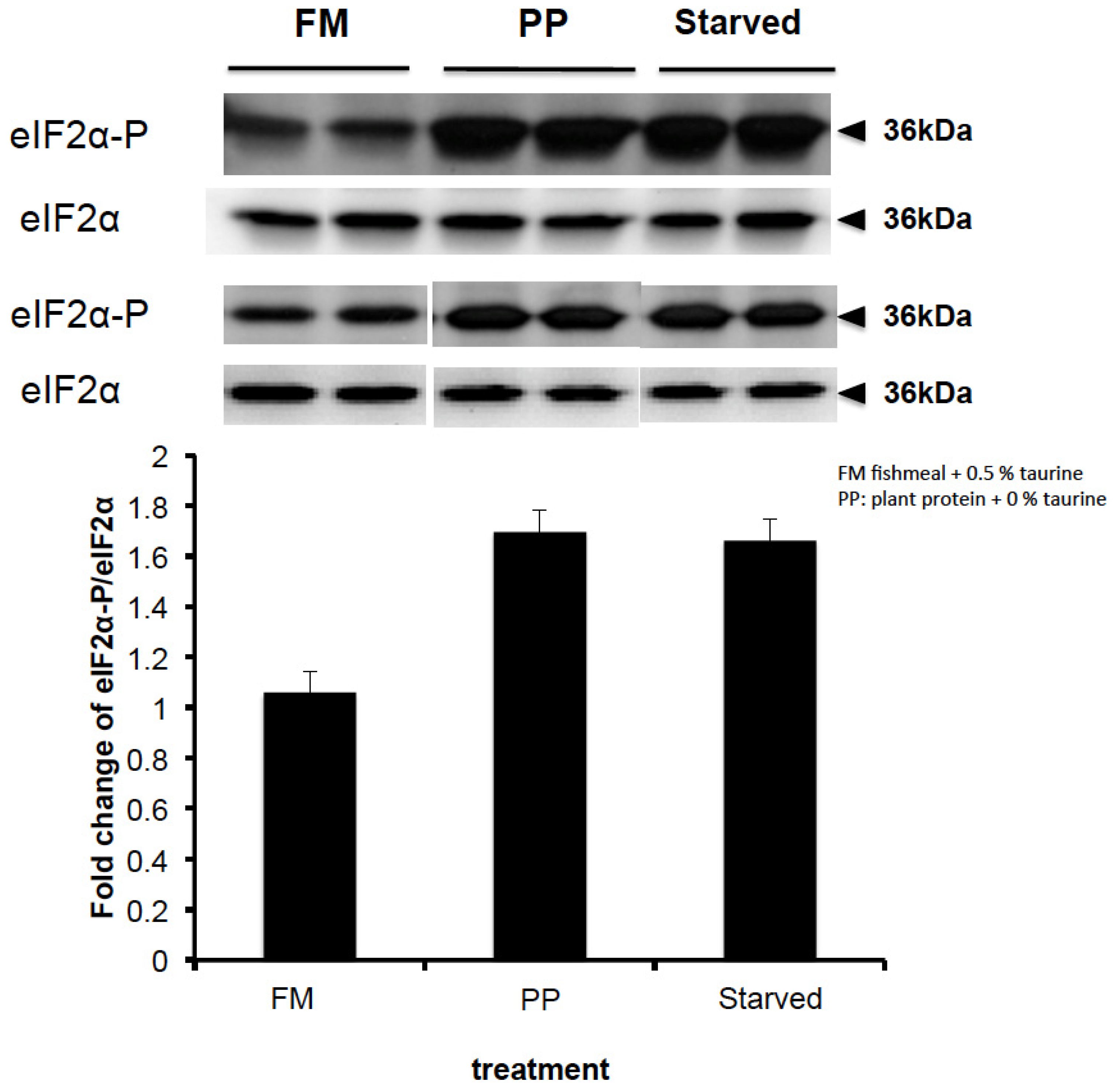 eIF2α Phosphorylation in Response to Nutritional Deficiency and ...