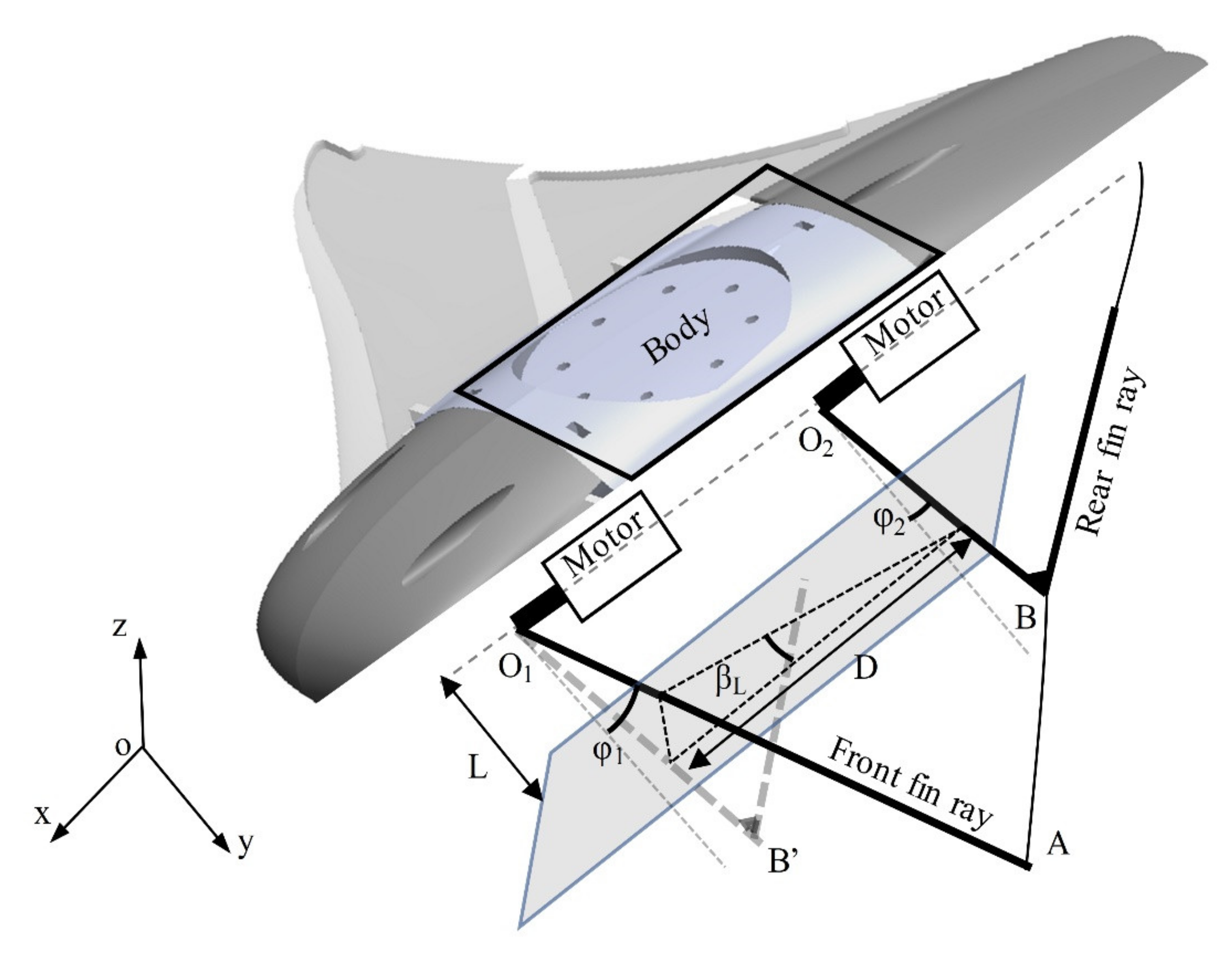 Effects of Bionic Pectoral Fin Rays’ Spanwise Flexibility on Forwarding ...