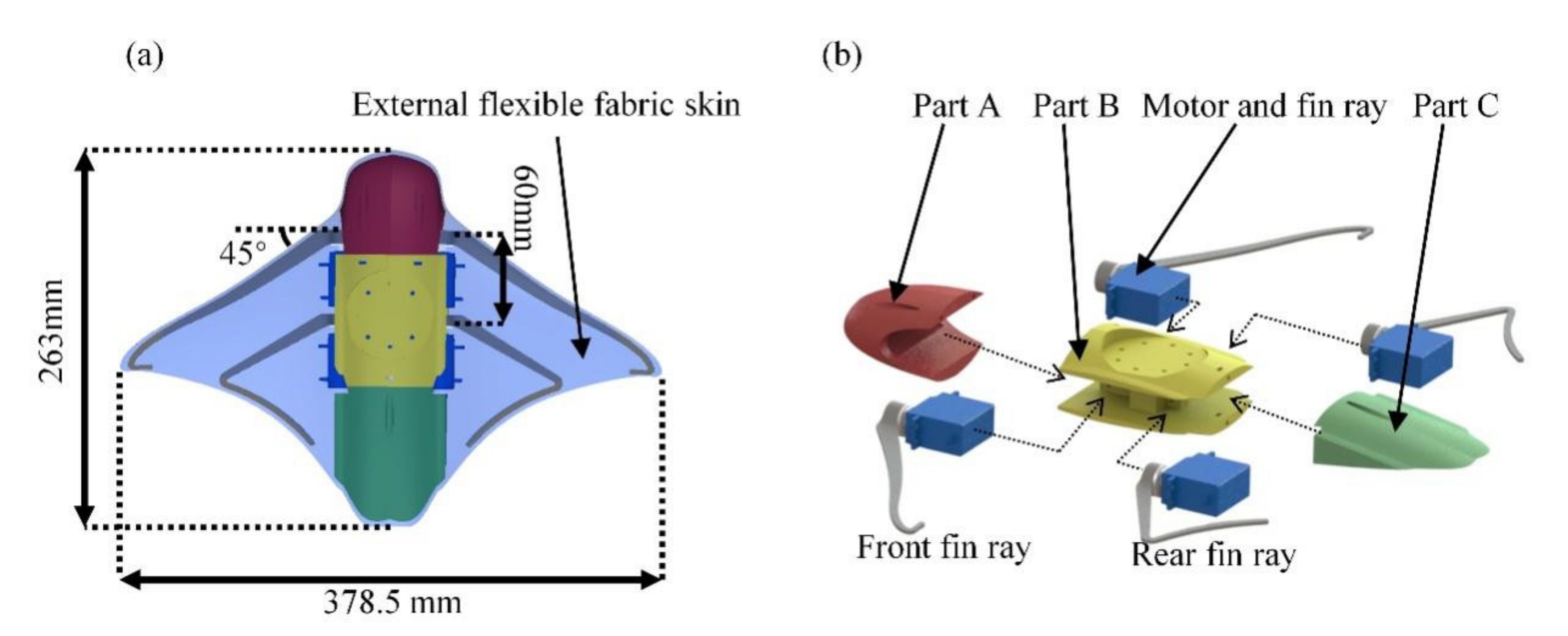Effects of Bionic Pectoral Fin Rays’ Spanwise Flexibility on Forwarding ...