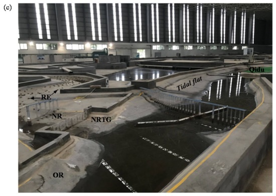 Short-Term Morphological Responses of Adjacent Intertidal Flats to the ...