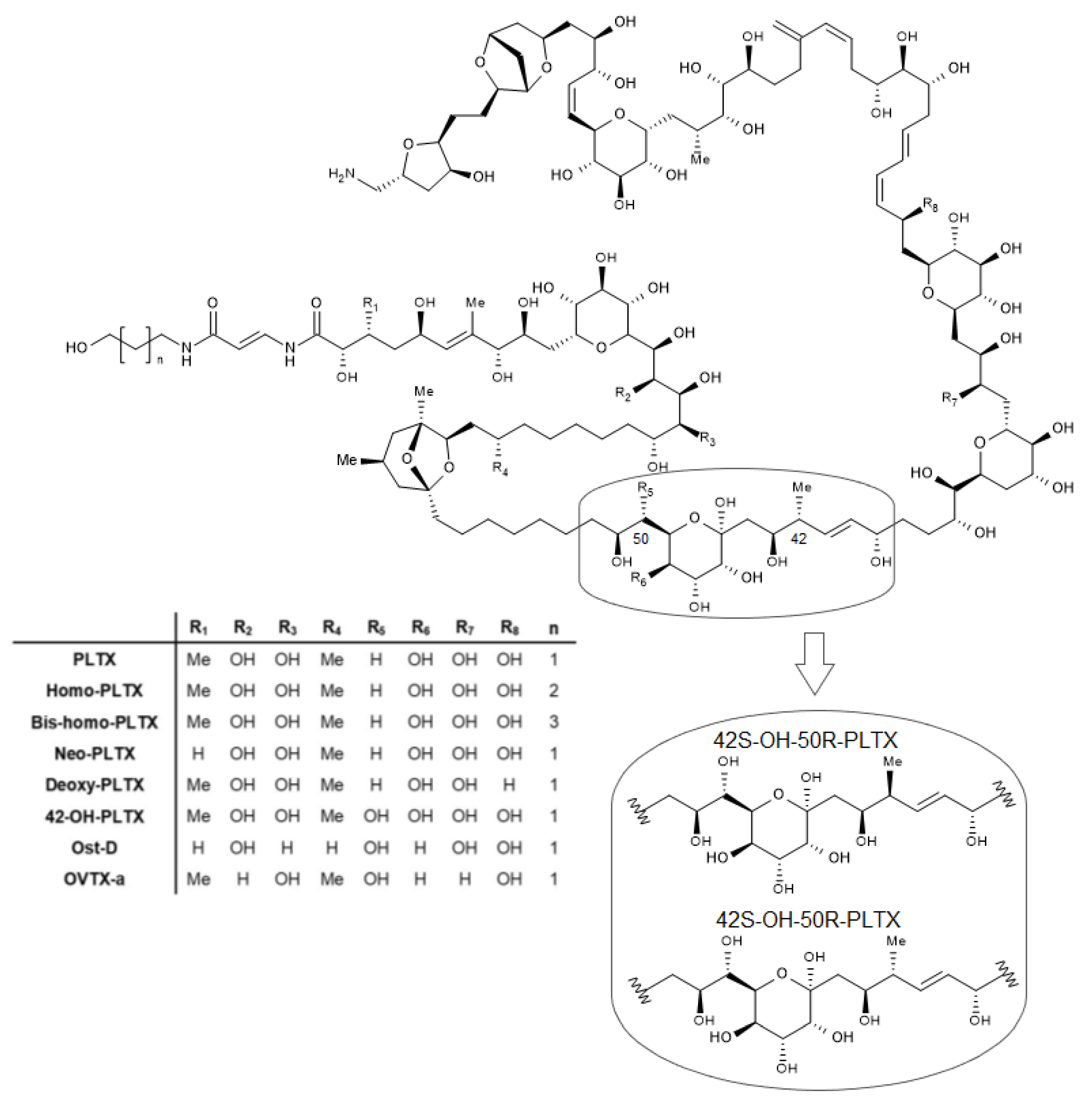 Functional and Structural Biological Methods for Palytoxin Detection