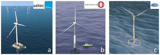 Market Needs, Opportunities and Barriers for the Floating Wind Industry