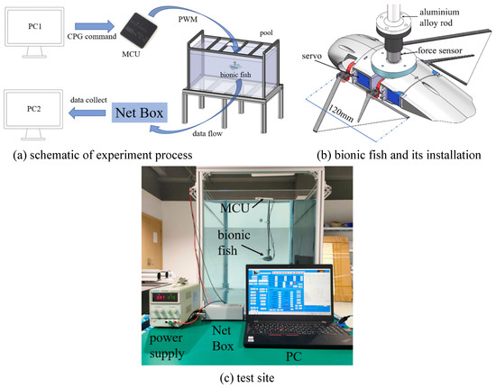Effects of Bionic Bone Flexibility on the Hydrodynamics of Pectoral Fins