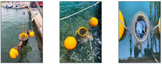 Composition of Floating Marine Litter in Port Areas of the Island of ...