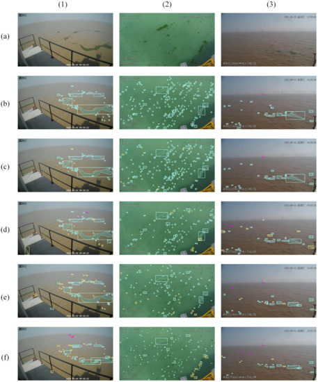 AlgaeMask: An Instance Segmentation Network for Floating Algae Detection