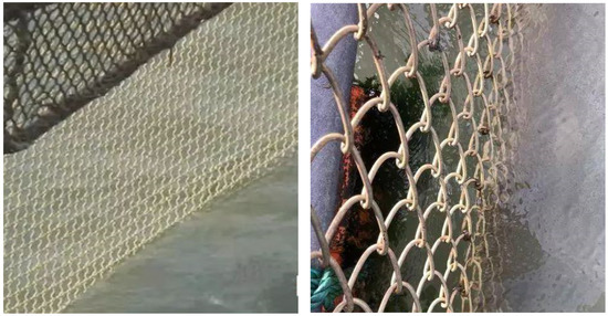 Dynamic Behavior of the Net of a Pile–Net-Gapped Enclosure Aquaculture ...