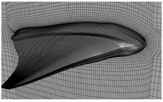 Investigation of the Hydrodynamic Characteristics of Two Manta Rays ...