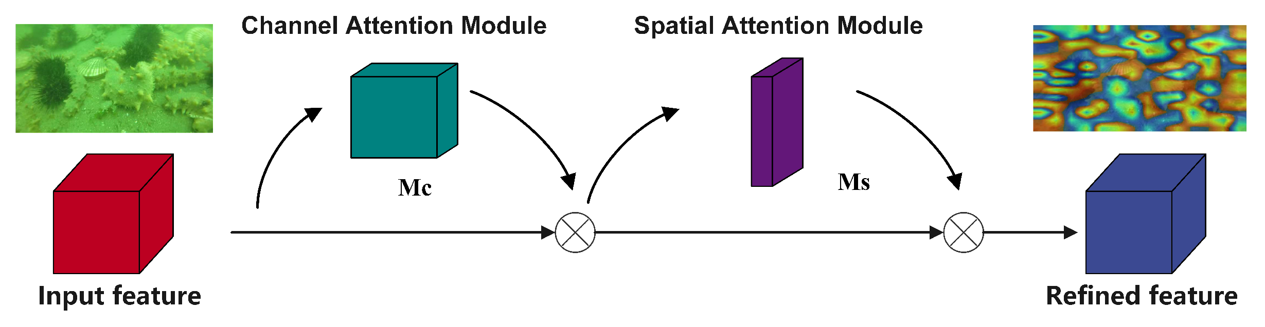 A Novel Underwater Image Enhancement Algorithm and an Improved Underwater Biological Detection ...