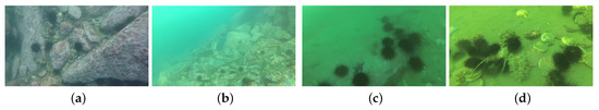 A Novel Underwater Image Enhancement Algorithm and an Improved Underwater Biological Detection ...
