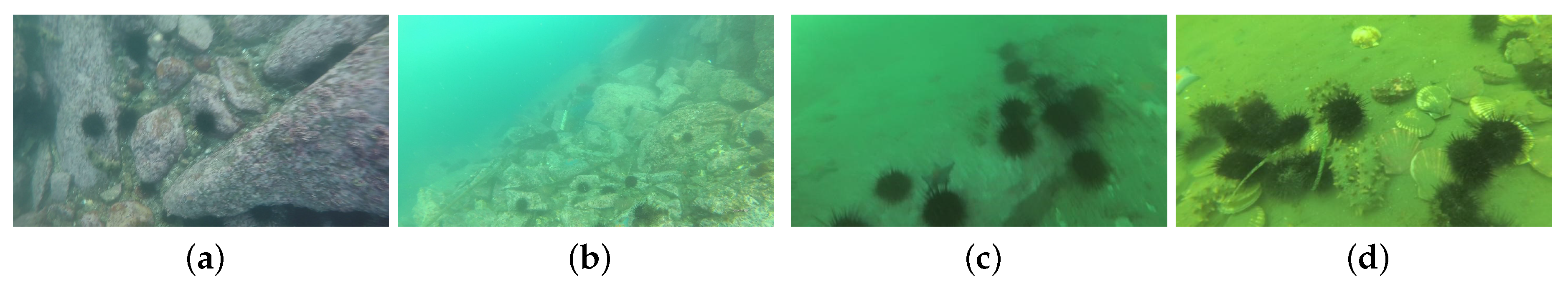 A Novel Underwater Image Enhancement Algorithm and an Improved ...