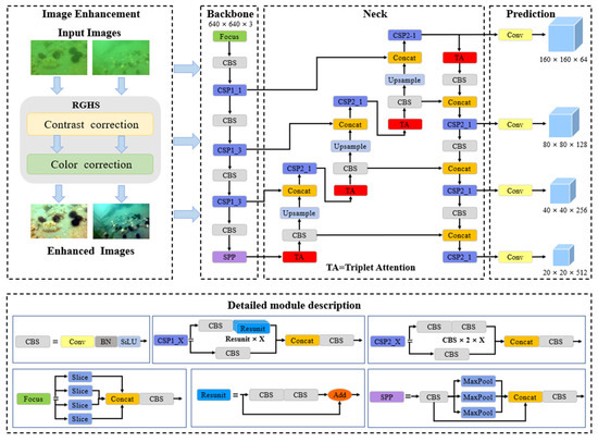 An Improved YOLOV5 Based on Triplet Attention and Prediction Head Optimization for Marine ...