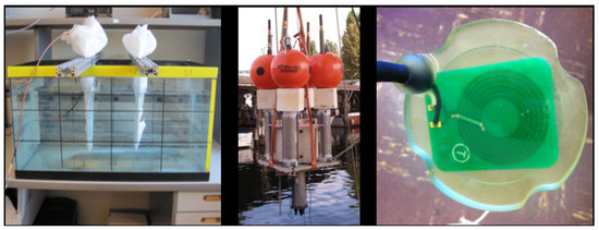 Enabling Underwater Wireless Power Transfer towards Sixth Generation ...