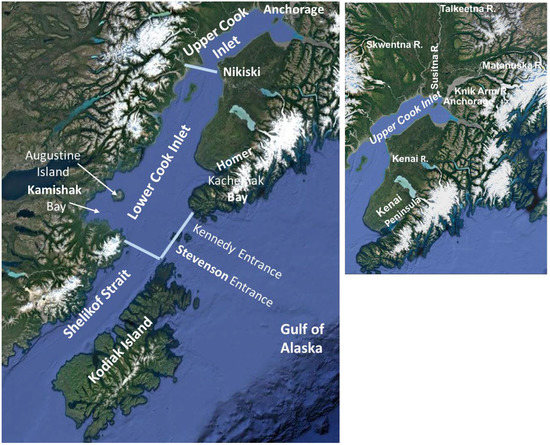 A Numerical Study of Long-Return Period Near-Bottom Ocean Currents in ...