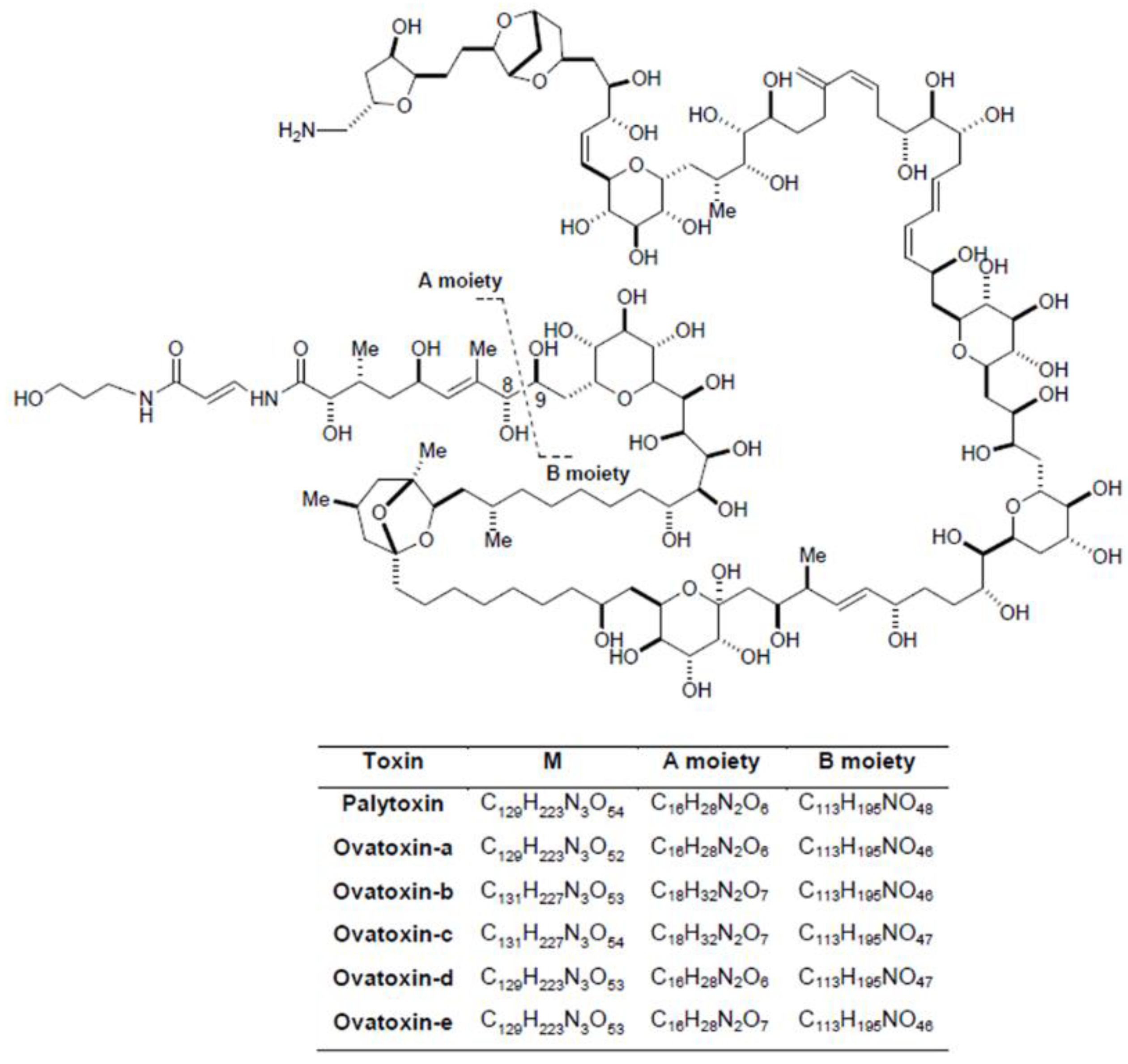 Palytoxin-Analogues Accumulation in Natural Mussel Banks during an ...